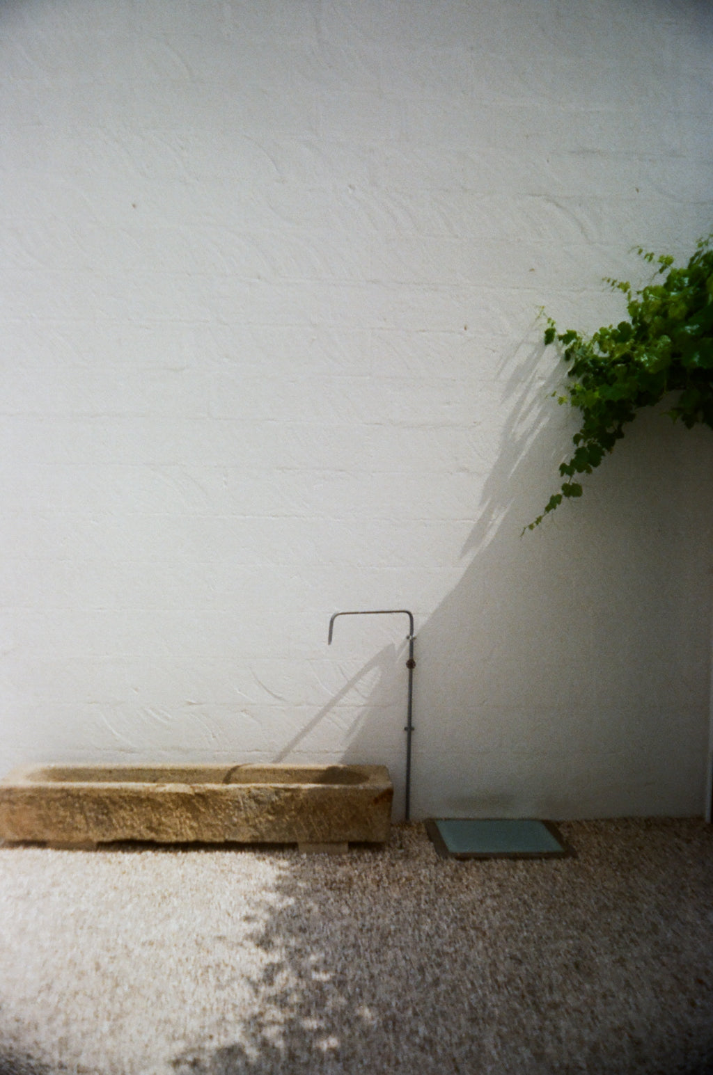 Catch Cameras – CATCH